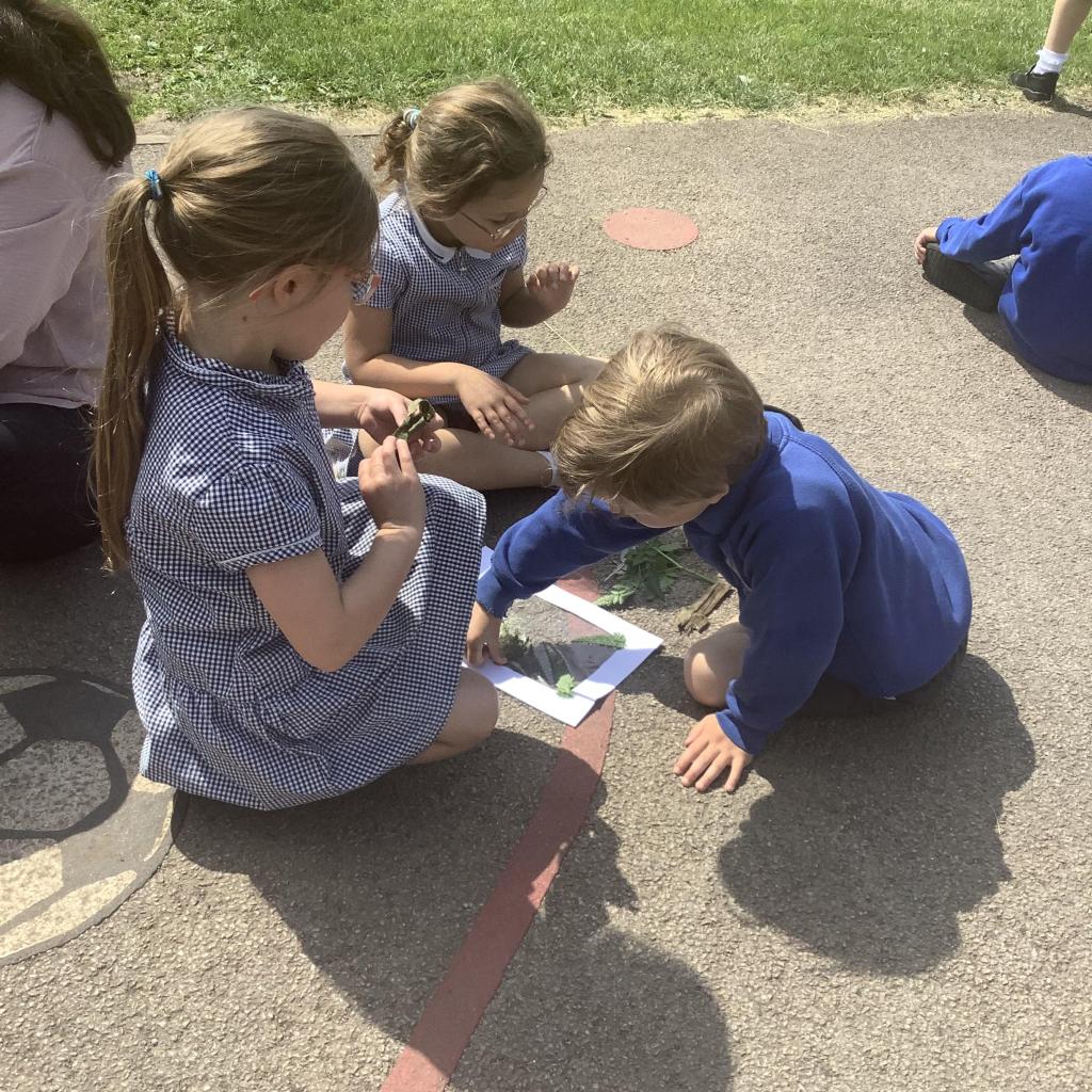 Muddy Puddle Friday | Sicklinghall CP School
